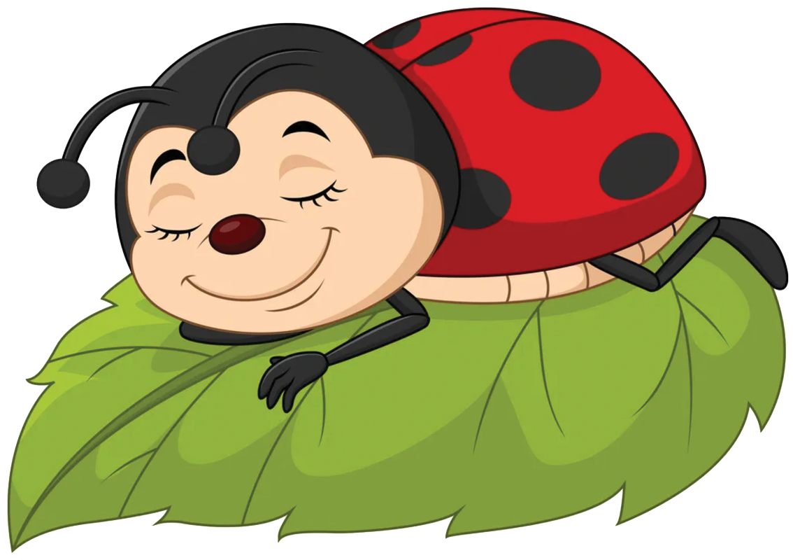 lady-bug-sleeping-on-leaf – Mrs Leila Wells' Season Explorers